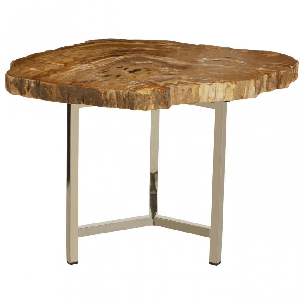 Clanbay Relic Small Petrified Wood Side Table – ideas4lighting